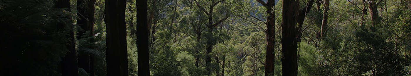 Join Now - FWCA - Forest & Wood Communities Australia